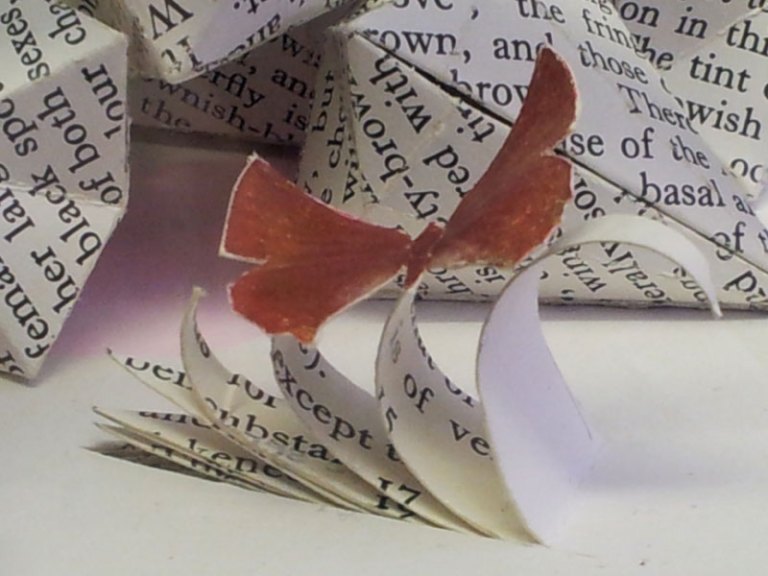 Paper Manipulation – Jo Howe-Artist