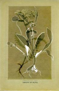 Book Arts – Jo Howe-Artist
