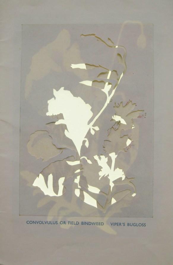 Book Arts – Jo Howe-Artist