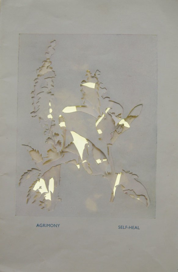 Book Arts – Jo Howe-Artist